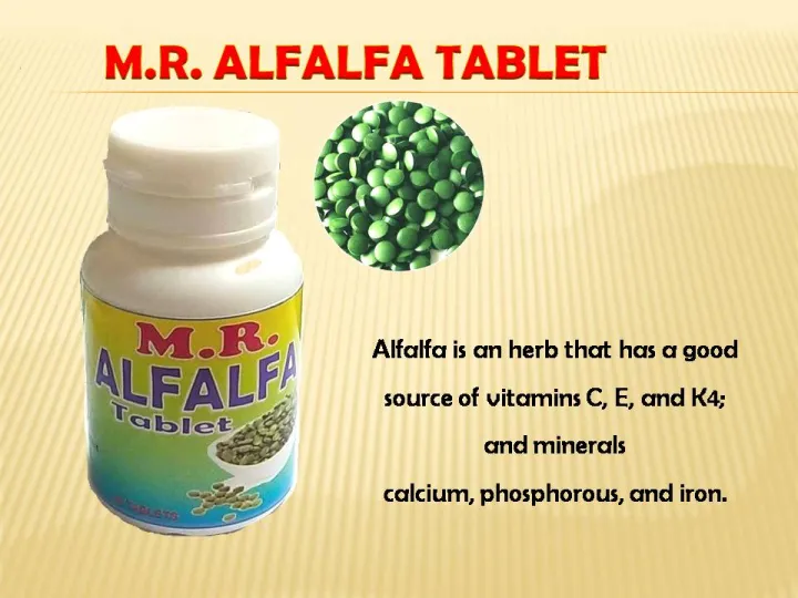 M.R. ALFALFA TABLET | Lazada PH