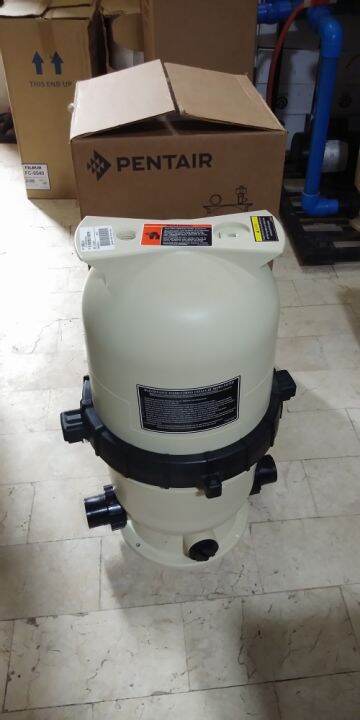 EC 60 DE Filter Pentair | Lazada PH