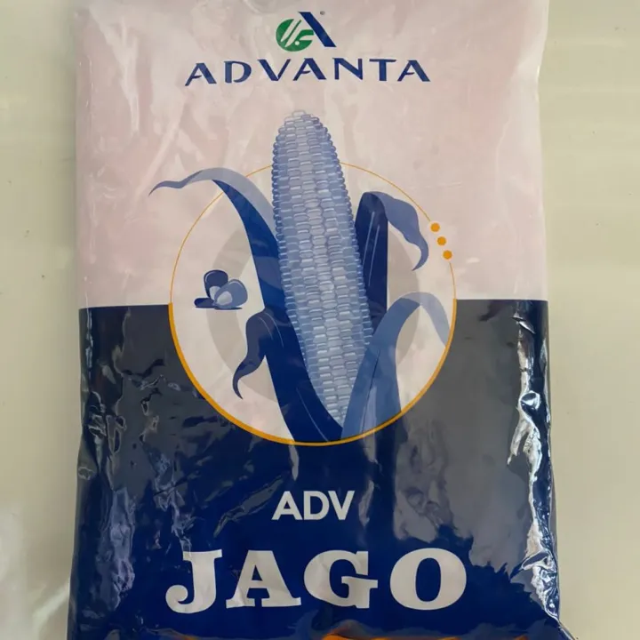 Benih Jagung hibrida PAC 789 ADV JAGO 1Kg Pacific Seeds KEMASAN BARU ...