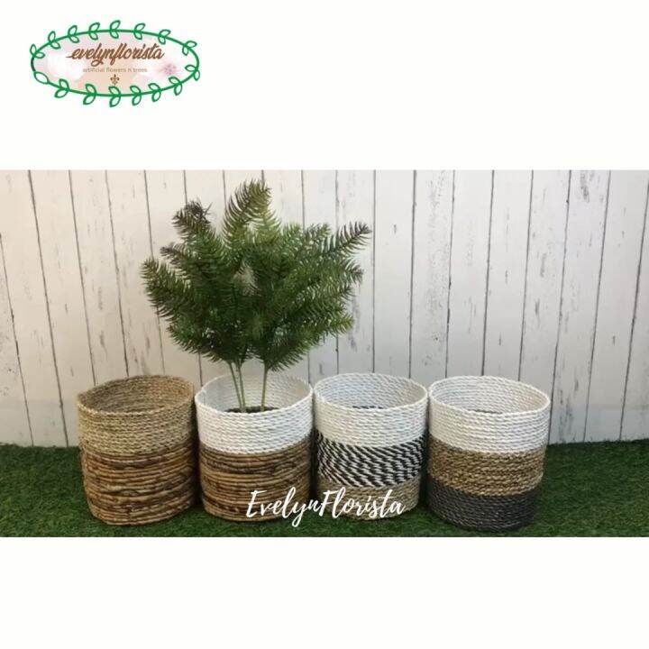 Tanaman Hias Daun Pinus Cemara Tangkai X4 Latex Artificial Cover Pot ...
