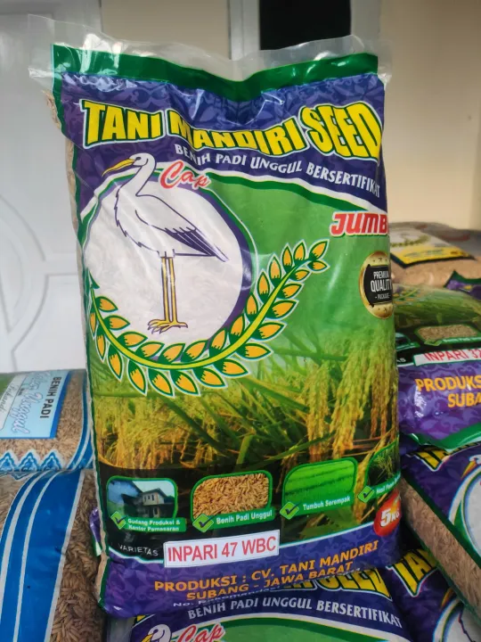 Benih Padi Bersertifikat Unggul Inpari 47 WBC Tahan Wereng 5 kg | Lazada Indonesia