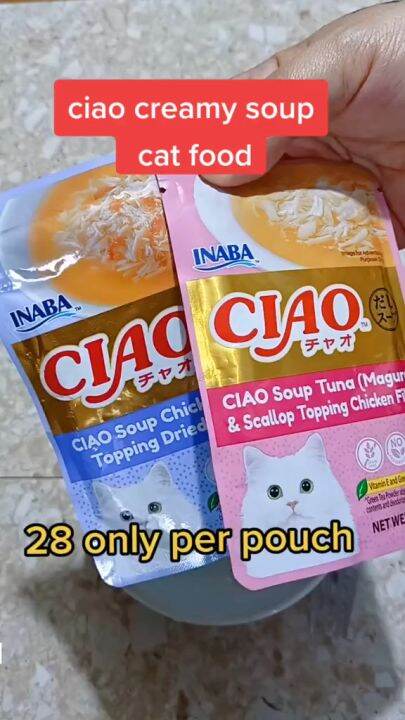40g Ciao Pouch Creamy & Soup Fillet Cat Wet Pouch Food | Lazada PH