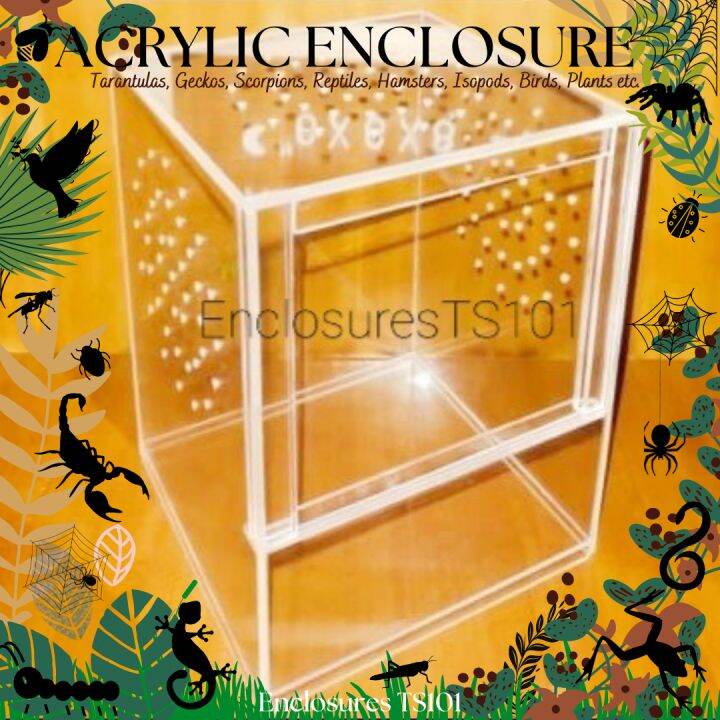 Acrylic Enclosure for Tarantula Reptiles Geckos Scorpions Isopods and ...