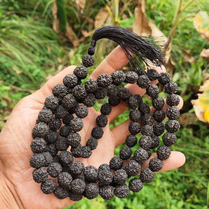 tasbih jenitri rudraksha hitam | Lazada Indonesia