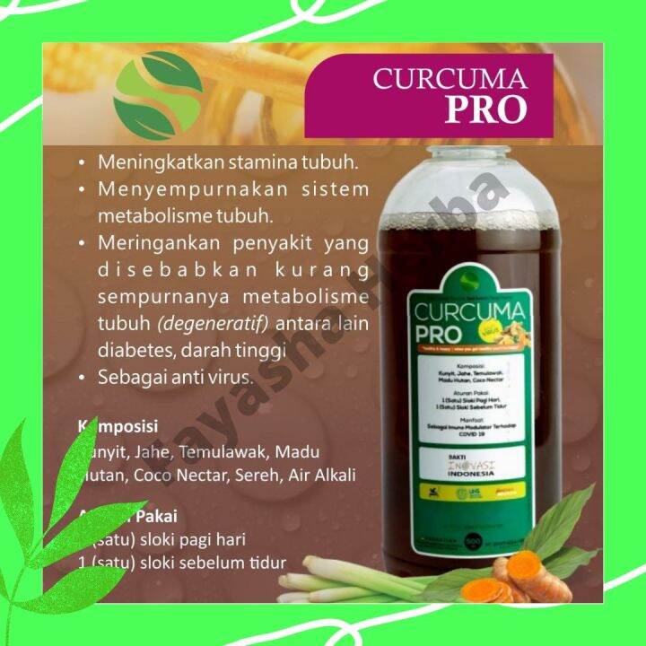 Curcuma Pro Herbal Organik Sinbiotik Enzimatik | Lazada Indonesia