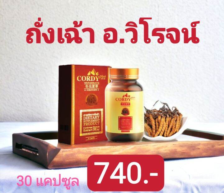 CORDY PLUS ถั่งเช่า อ.วิโรจน์ เสริมสุขภาพ บำรุงสมอง ฟื้นฟูตับ ของแท้ 100% | Lazada.co.th