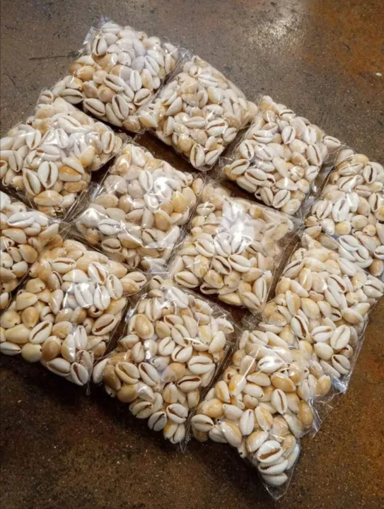 Sigay | Sea Shells 50pcs/pack | Lazada PH