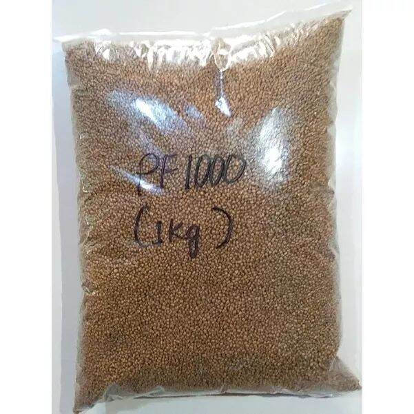 PELET IKAN PF 1000 1KG pakan makanan anak ikan terenak lele nila koi ...