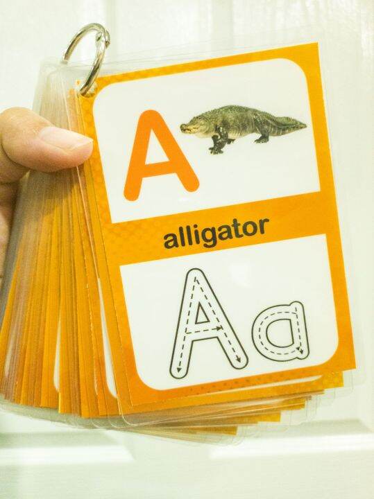 laminated alphabet tracing flashcards animal names | Lazada PH