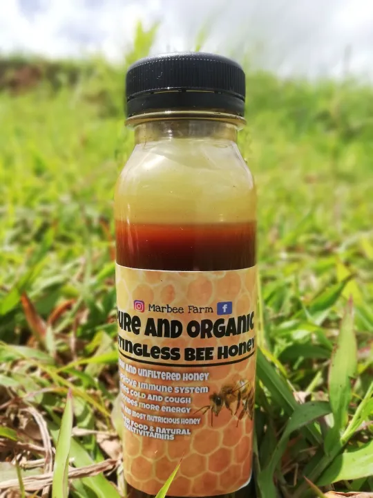 Stingless Bee Honey Pure and Raw | Lazada PH