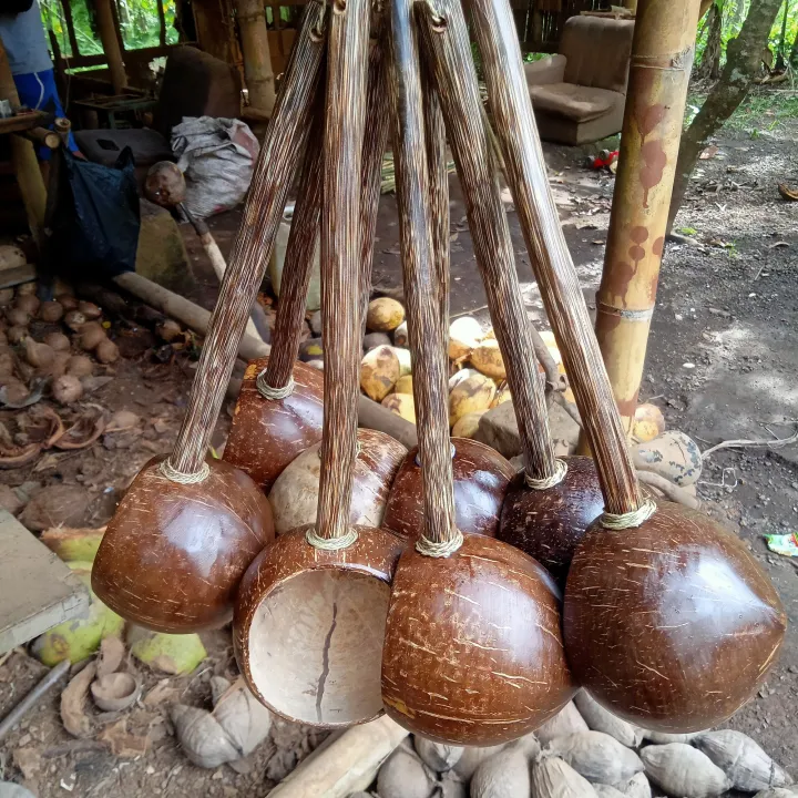 siwur atau gayung dari batok kelapa etnik jadul natural alami gagang ...
