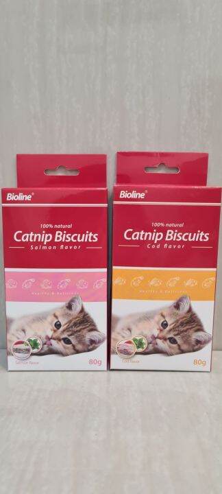 Catnip Biscuit For Cats Bioline 80 Grams | Lazada PH