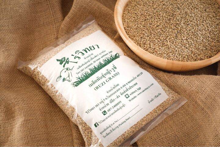เมล็ดพันธุ์หญ้ารูซี่ 1 กิโลกรัม เกรดส่งออก Ruzi Grass จาก ไร่วิทยา ...