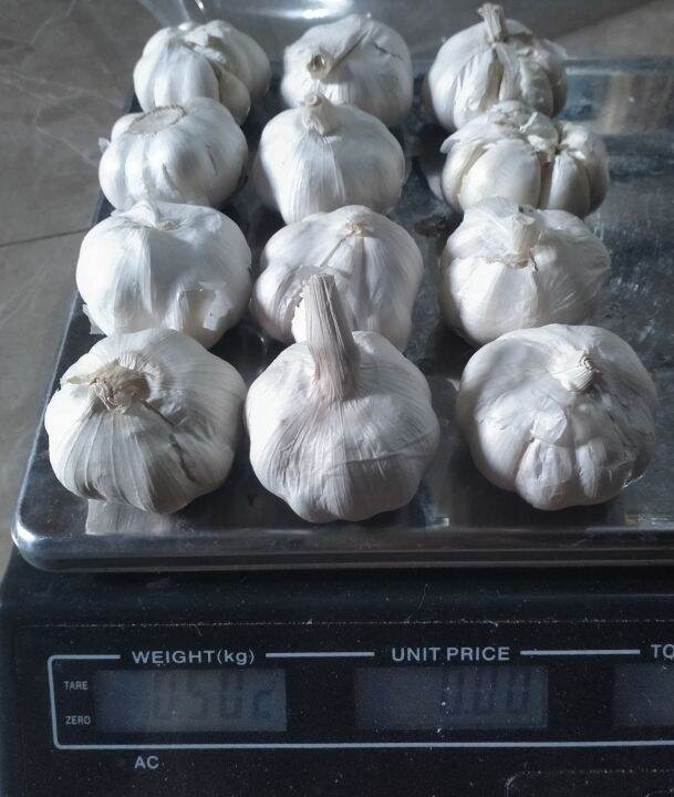 Bawang /Garlic (500 grams 1l2 kilo) | Lazada PH