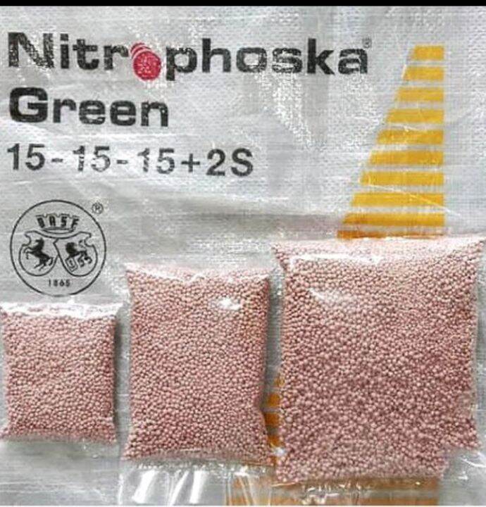 Nitrophoska Green / Singa Kuda / - NPK 15-15-15+2S (Growth fertilizer ...
