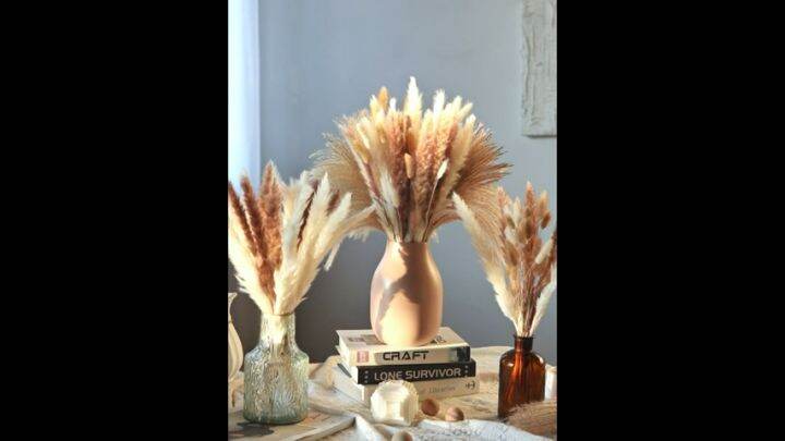 1set Dried Pampas Grass ,Pompous Grass,Bunny Tails Dried Flowers Reed ...