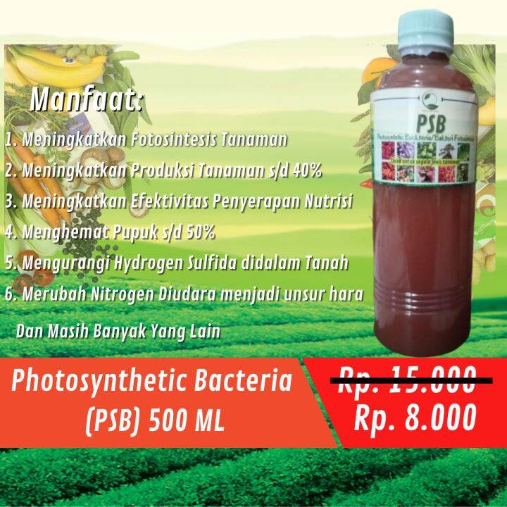 Pupuk Organik (POC) Daun Photosynthetic Bacteria (PSB) / Bakteri ...