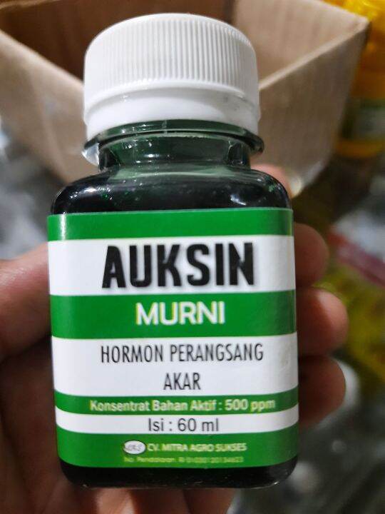 Zat Pengatur Tumbuh ZPT AUKSIN MURNI Kemasan 60ml | Lazada Indonesia
