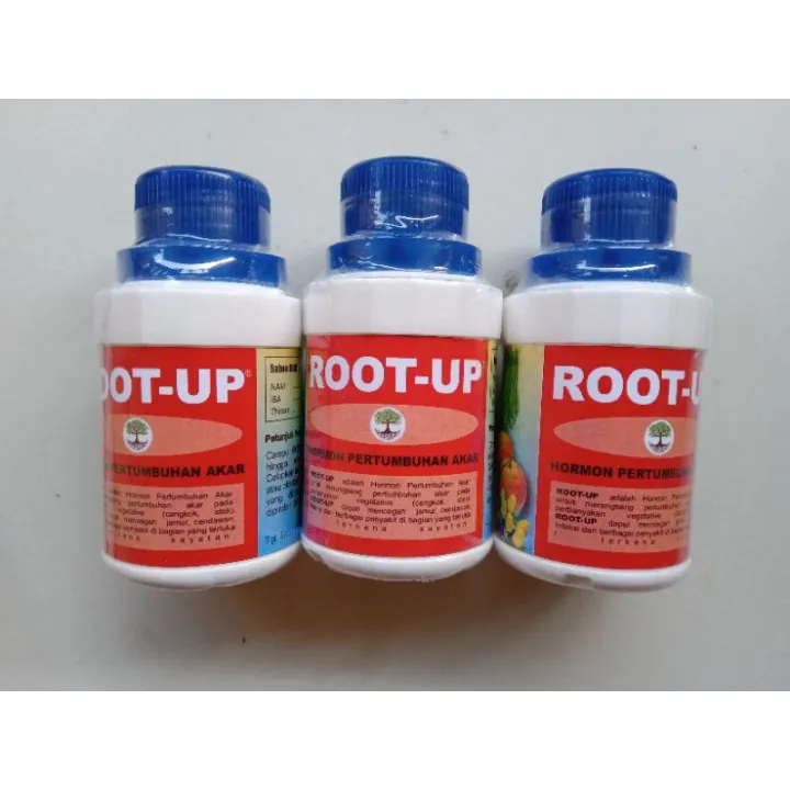 Root up repack 10gram hormon tumbuh akar cangkok stek batang okulasi ...