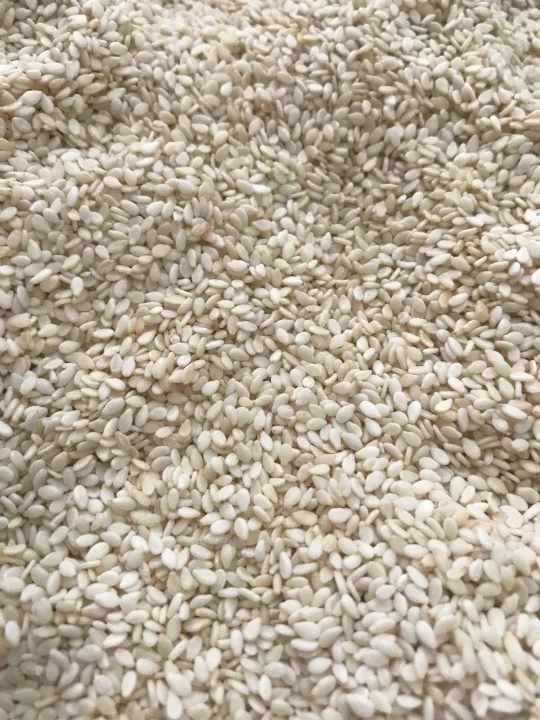 Wijen Putih / White Sesame 1 KG | Lazada Indonesia
