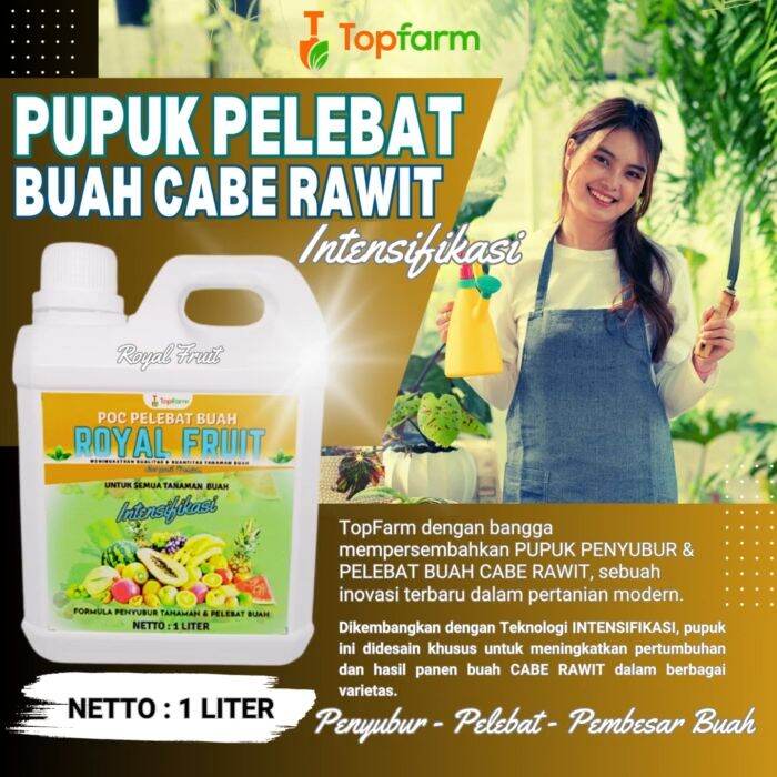 Pupuk Pelebat Buah / Obat Semprot Tanaman Cabe Rawit / Obat Kriting Tanaman Cabe Rawit / Obat ...