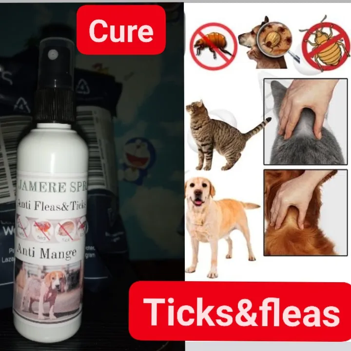 JAMERE spray for mange, ticks and fleas 100ml | Lazada PH