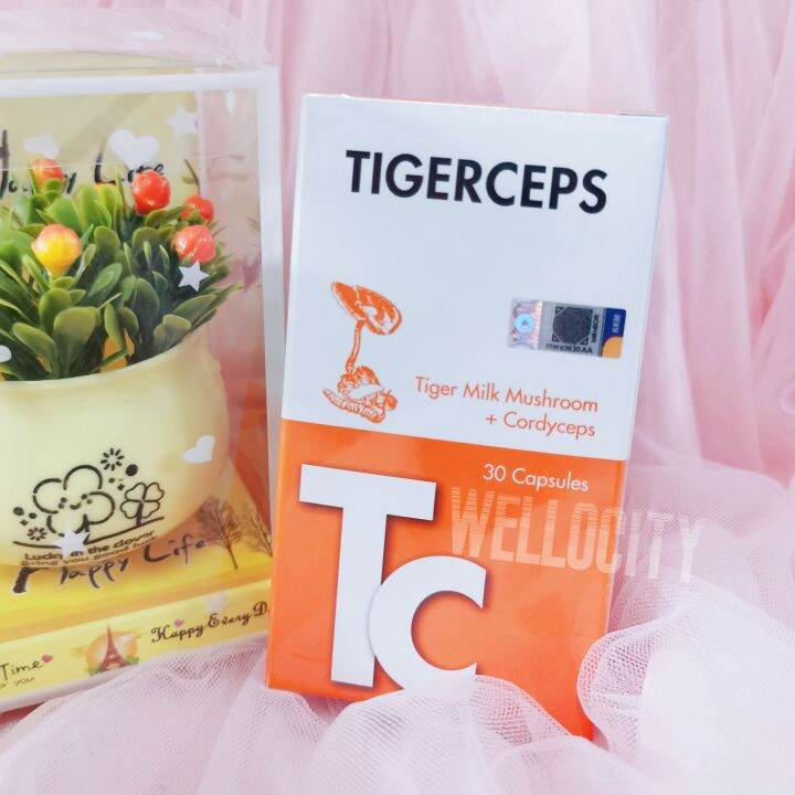🇲🇾Ready stock 🇲🇾 Tigerceps 30s Tiger Milk Mushroom + Cordyceps 东虫夏草 乳虎芝 ...