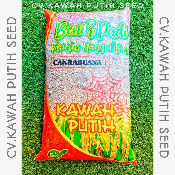 Benih Padi Cakrabuana Agritan 5kg Bersertifikat Label Ungu Kawah Putih ...