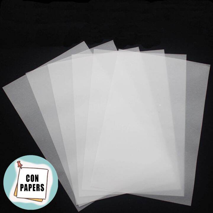 Tracing Paper 15"x20" Rolled/Tube 80/85gsm | Lazada PH