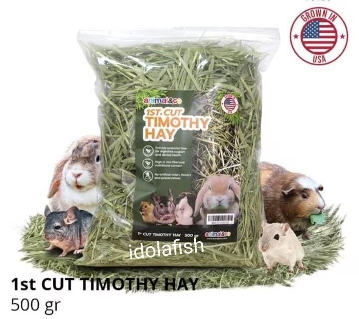 rumput Hay makanan kelinci 500 gram 1st cut 2nd cut premium alfafa ...