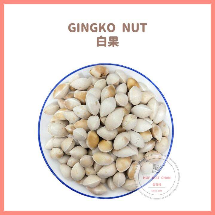 GINGKO NUTS 白果 【500g】 | Lazada