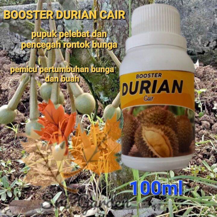 Pupuk durian cair agar cepat besar berbuah pupuk durian mencegah bunga rontok booster durian ...