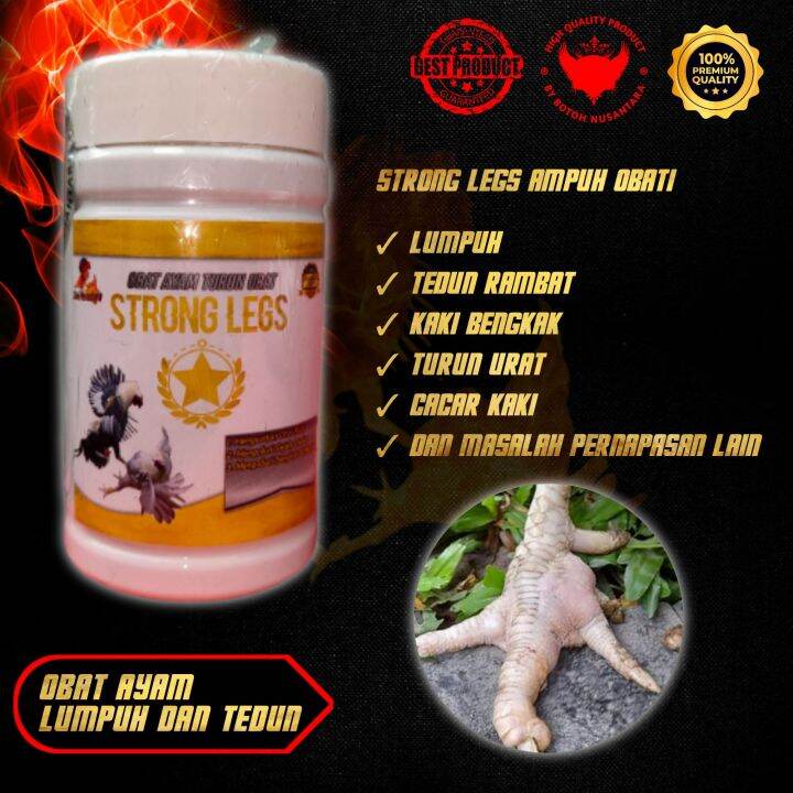 Strong legs obat ayam lumpuh pincang turun urat dan kaki bengkak ...