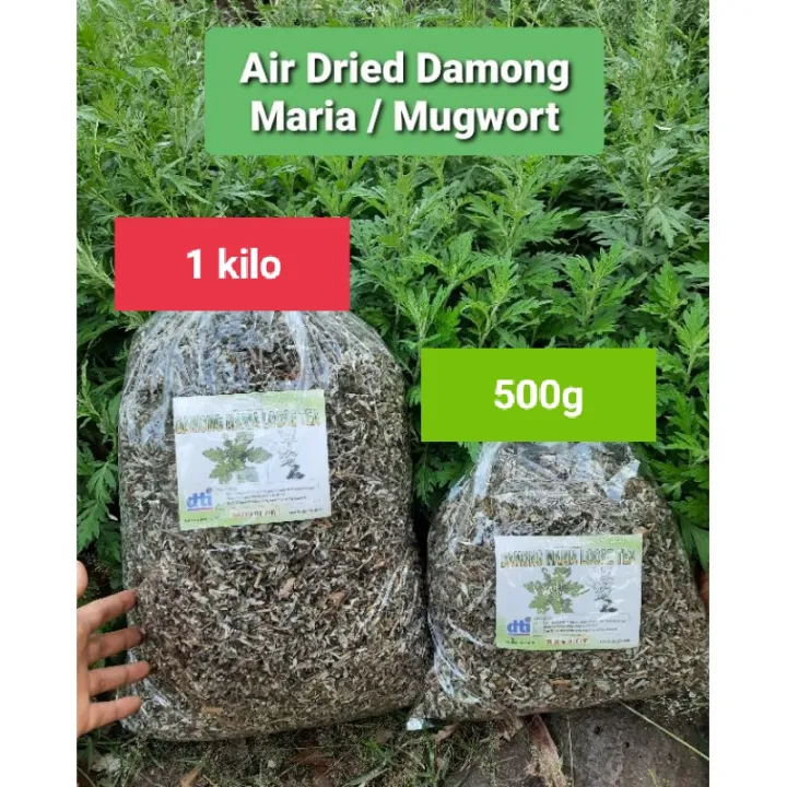 (HEALING HERB'S PH)100%PURE DAMONG MARIA HERBAL TEA | Lazada PH