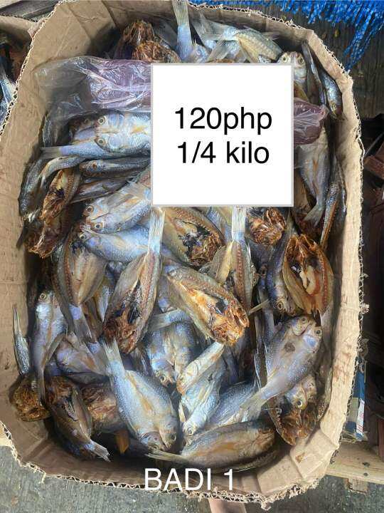 SMOKED FISH BADI FROM BICOL | Lazada PH