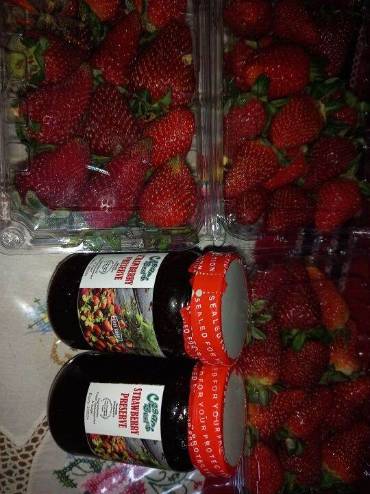 Fresh Strawberries from Baguio City with free strawberry preserve ...
