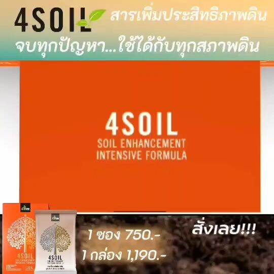 4Tree 4Soil โฟร์ ทรี โฟร์ ซอย สารเพิ่มประสิทธิภาพดิน สูตรเข้มข้น ชนิดผง ช่วยปรับสภาพโครงสร้างดิน ...