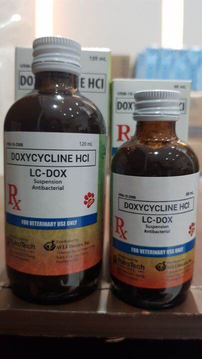 LC Dox Suspension Antibacterial (60ml | 120ml) | Lazada PH