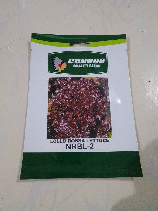 LOLLO ROSA LETTUCE NRBL-2 (1 GRAMS)BY CONDOR SEEDS | Lazada PH