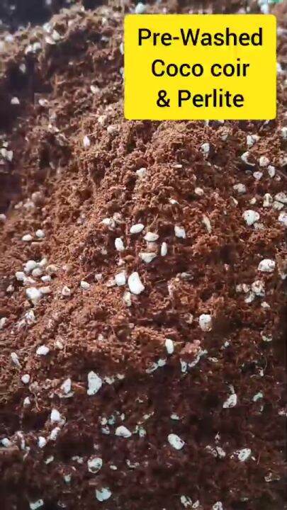 1.5 Gallon (7L) Coco Coir Perlite Mix [70%/30%] Premium Quality Coconut ...