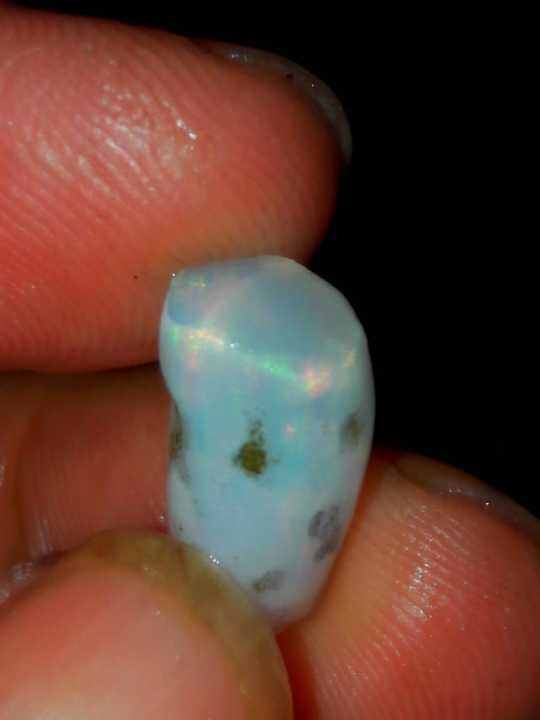 bahan kalimaya susu jarong bagus dim14x8x7mm | Lazada Indonesia