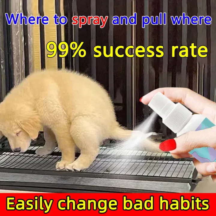 It's good to use it😻potty trainer for dogs 120ml Let the dog go to the ...