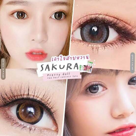 คอนแทคเลนส์ 🎊 Sakura 🎊Gray / Brown(Gaezz Secret) สีน้ำตาลขนาดมินิบิ๊ก ...