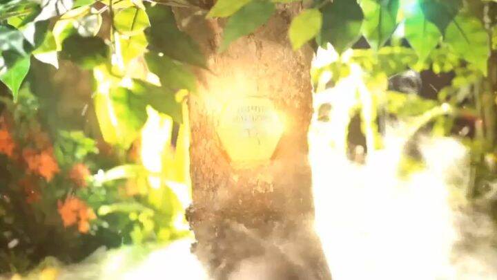 Kalampa ก้อนสมุนไพรแช่น้ำดื่มสำหรับสัตว์เลี้ยง สุนัข แมว ช่วยให้สัตว์ ...