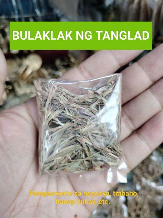 Bulaklak ng Tanglad pampaswerte with guide and FREE POUCH | Lazada PH