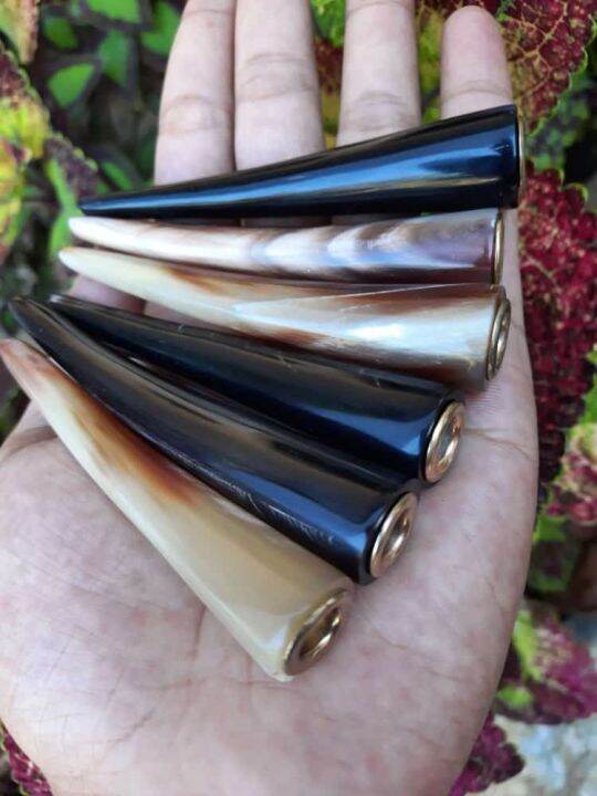 ONCE ROKOK TANDUK KERBAU BULE SUPERAN 9-10 CM BERKUALITAS | Lazada ...