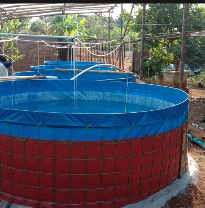 kolam terpal bulat Diameter 2 Tinggi 1.2 bahan semi karet merek Orchid ...