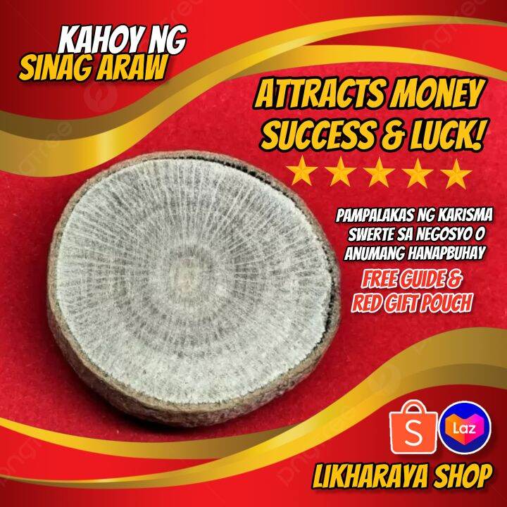 【🔥HOT SALE🔥】Kahoy ng Sinag Araw, Kahoy ng Kalikasan Pang-akit ng swerte ...
