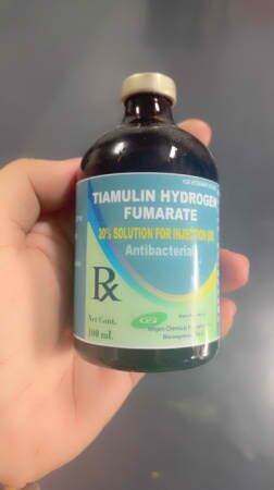 TIAMULIN 20% 100ML FOR ANIMALS * VETGEN | Lazada PH