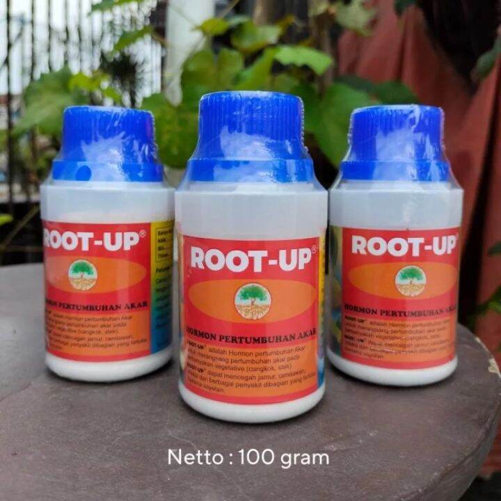 Root Up 100 gram perangsang akar Root-Up zpt hormon pemacu akar obat ...